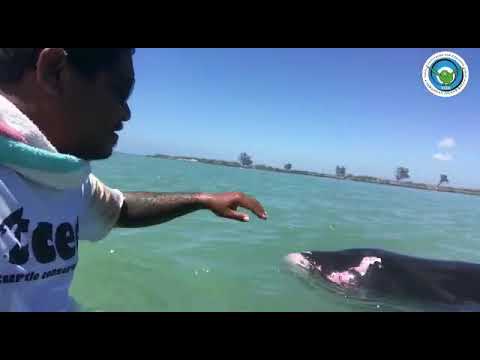 Desa Wisata Serangan