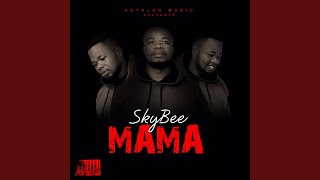 Skybee - Agent, Manager, Publicist Contact Info