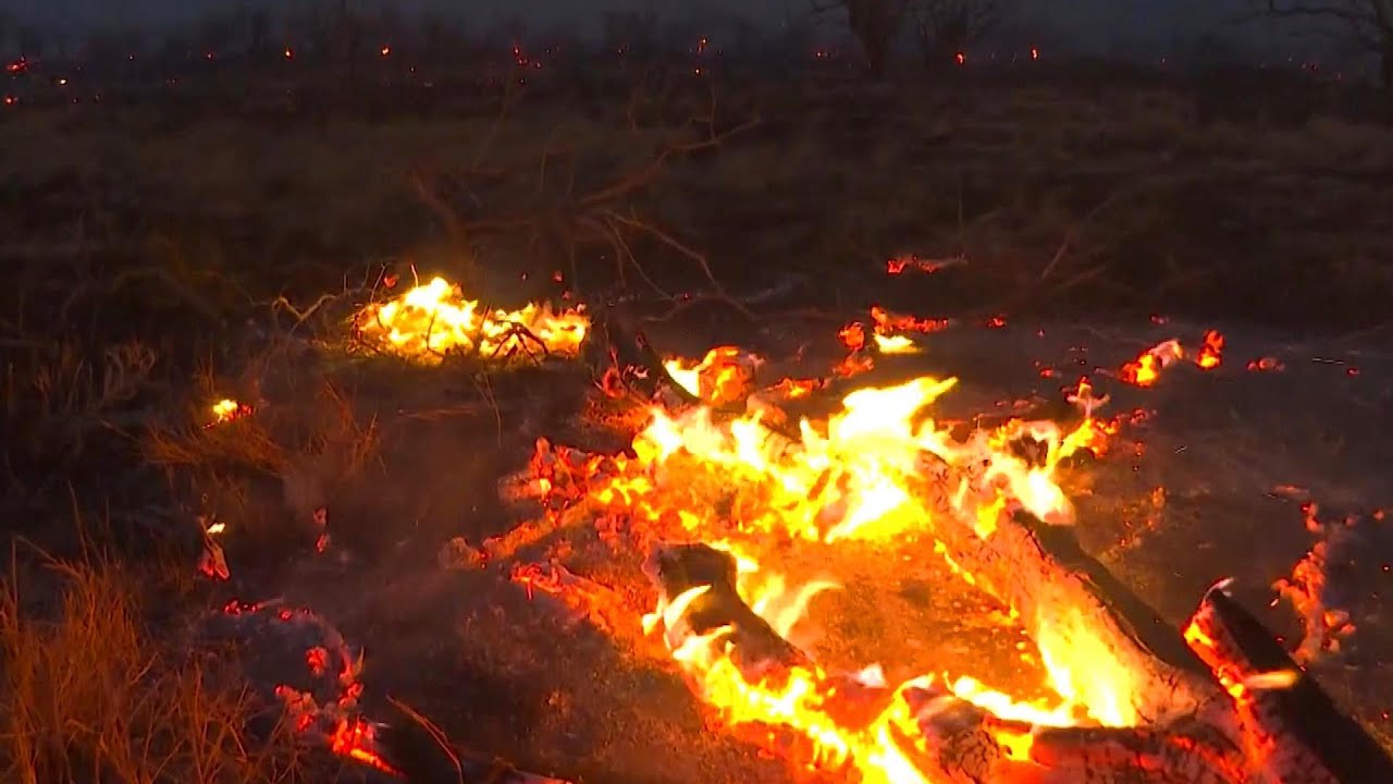Maui Fire Coverage Ignored Fossil Fuel Responsibility — FAIR