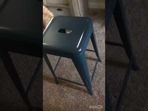 Trash setup