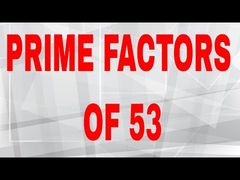 Prime factors of 53