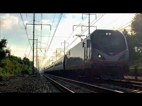Amtrak Palmetto #89 RR Crossing Hornshow at Norwood Station!