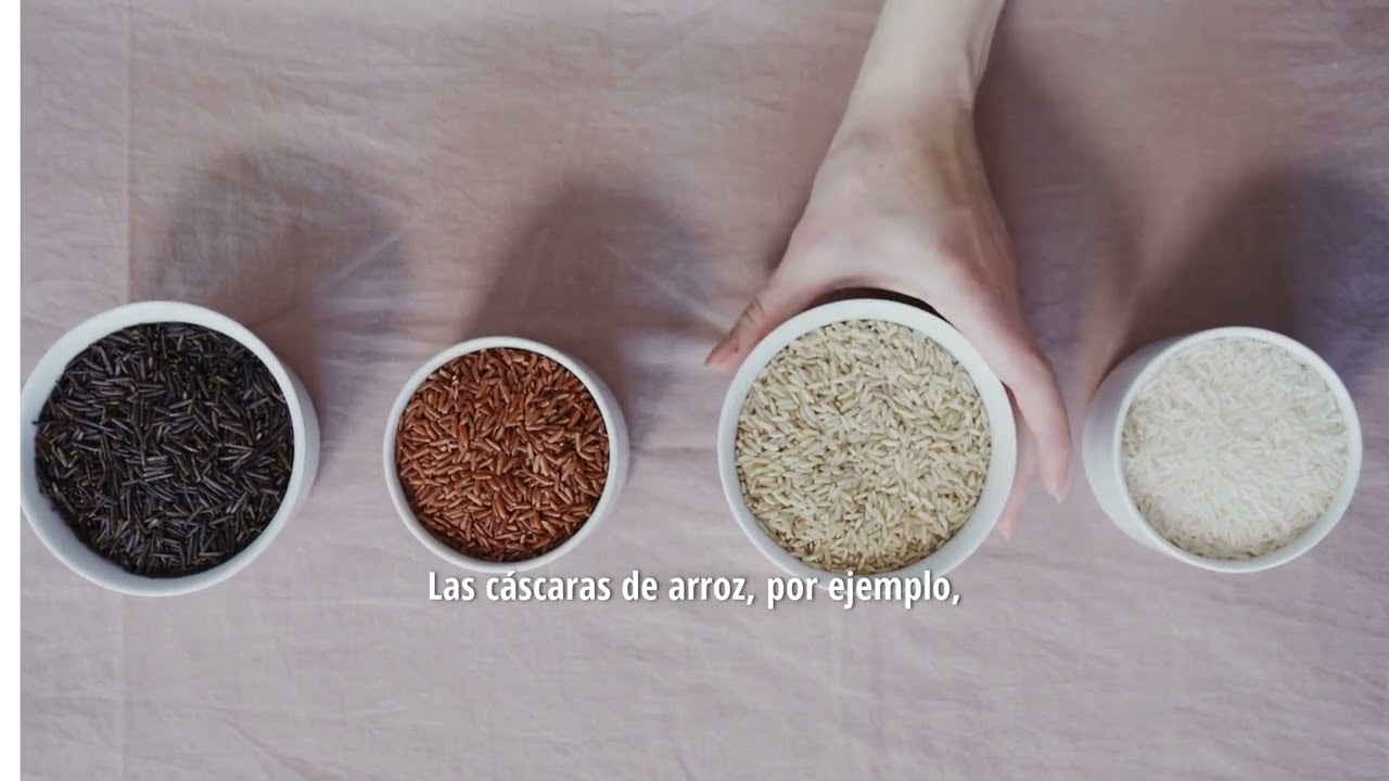 Economía circular en la agroindustria: el futuro de las cadenas productivas