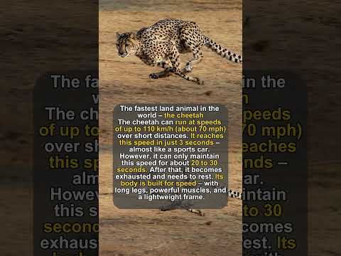 The fastest land animal in the world #history #animals #rare