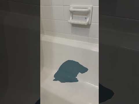 Lost $300 + days refinishing bathtub with bathworks refinishing kit | DIY fail | Renovation mistake
