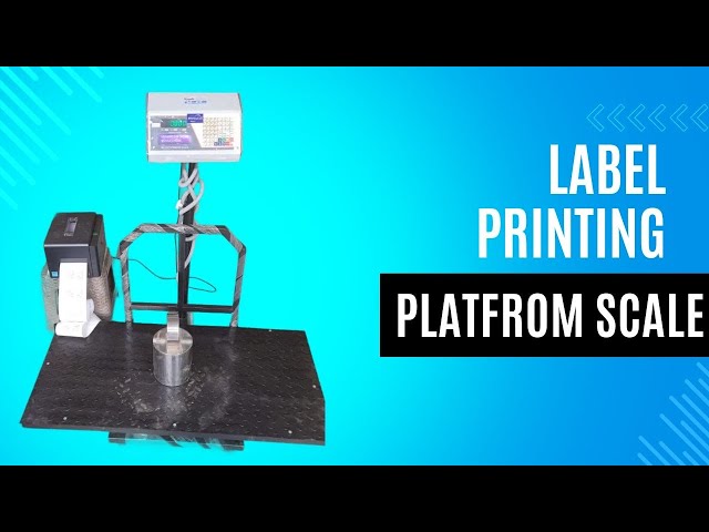 Weighing Machines - Vegetable Weighing Machine With Printer Service ...