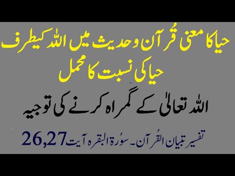 Surah Al Baqrah Tafseer Tibyan Ul Quran By Allama Gulam Rasool Saeedi 23/313