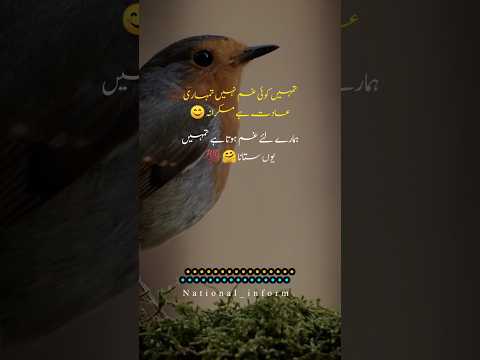 urdu quotes status for whatsapp πͺπΉ#shorts #quotes #youtubeshorts