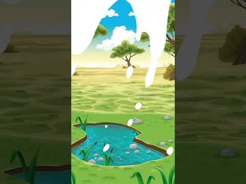 Learn The Letter G And Animal Names #shorts , #short , #shortvideo , #shortsvideo