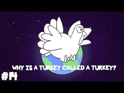 Why does Turkey and a turkey (bird) have the same name? - Animated