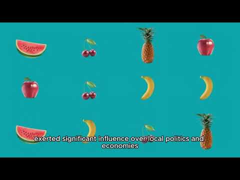 Banana Republic: Meaning, History, and Modern Usage.