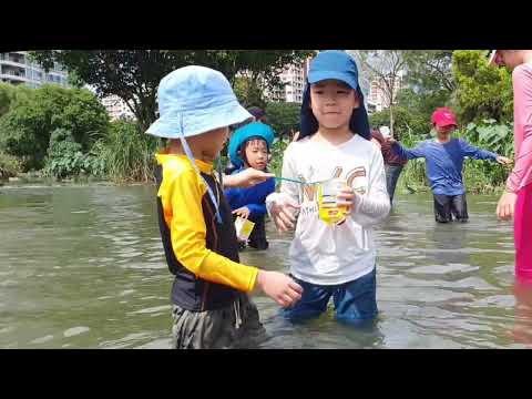 Water Trekkers Holiday Camp