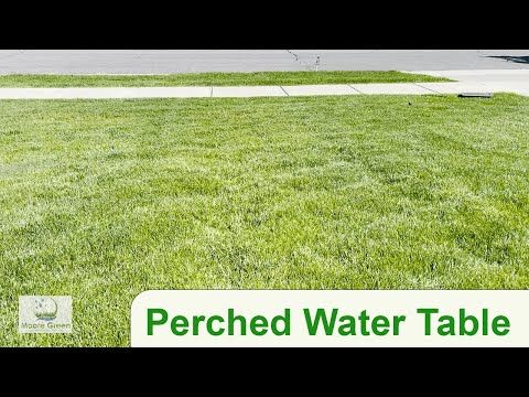 Perched Water Table