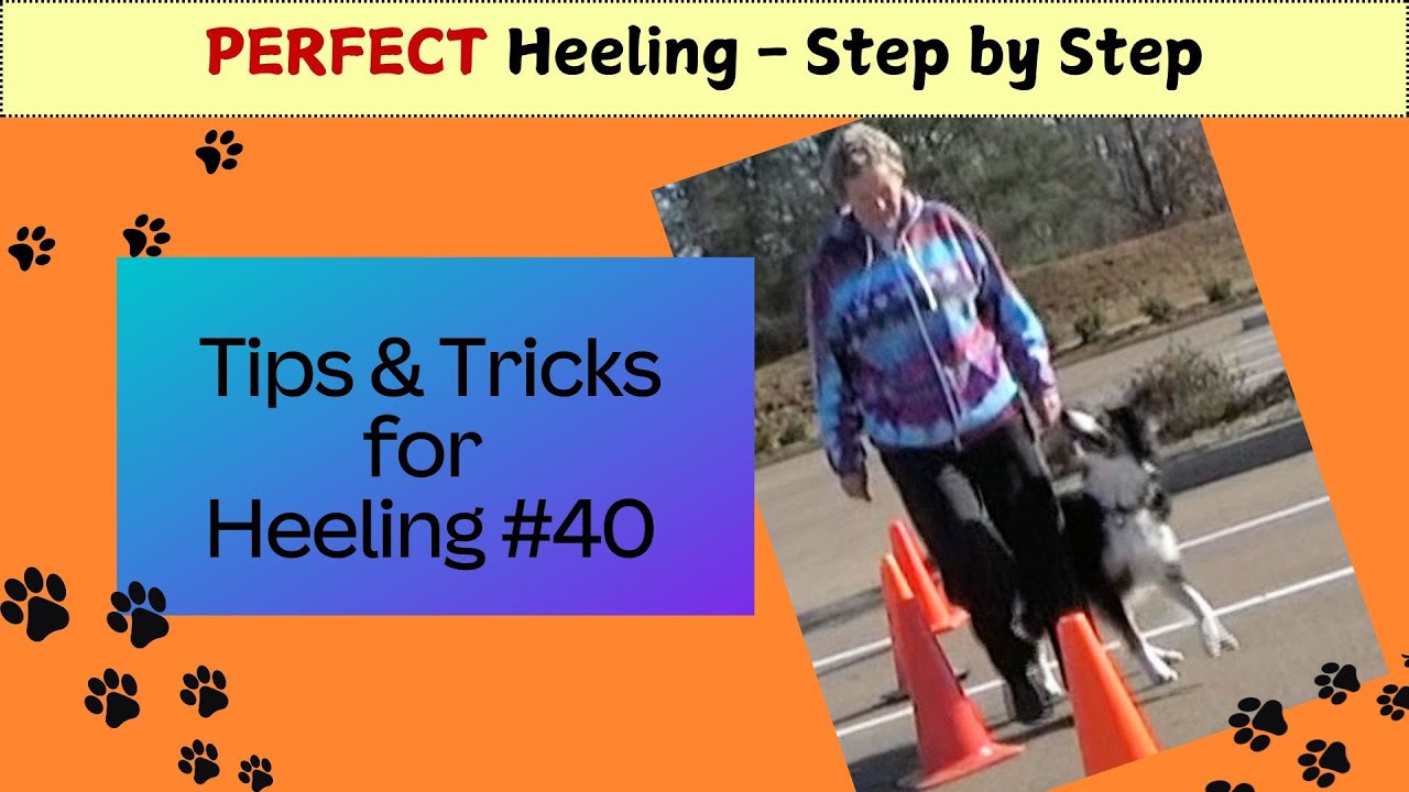 Heeling Tips & Tricks #40 - Bump Up Serpentine Drill - Teaching ...