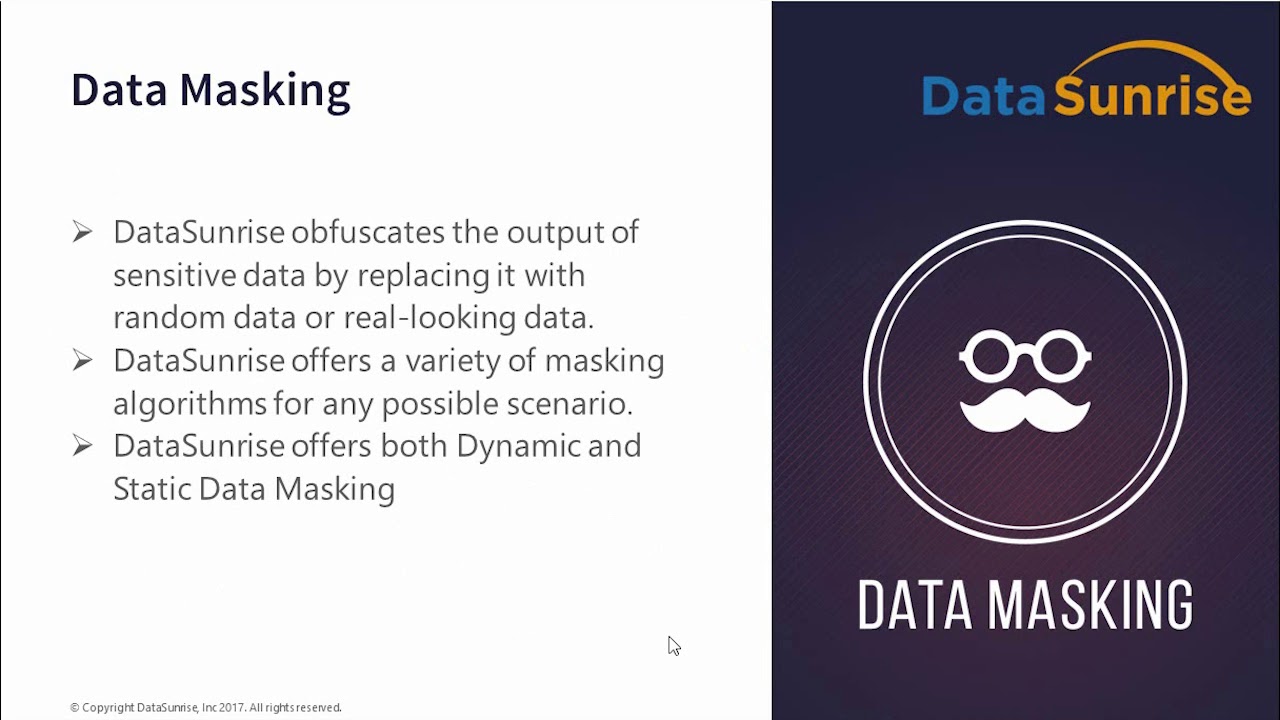 DataSunrise Executive Presentation
