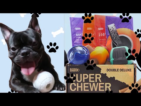 BARKBOX Super Chewer Unboxing with Zed