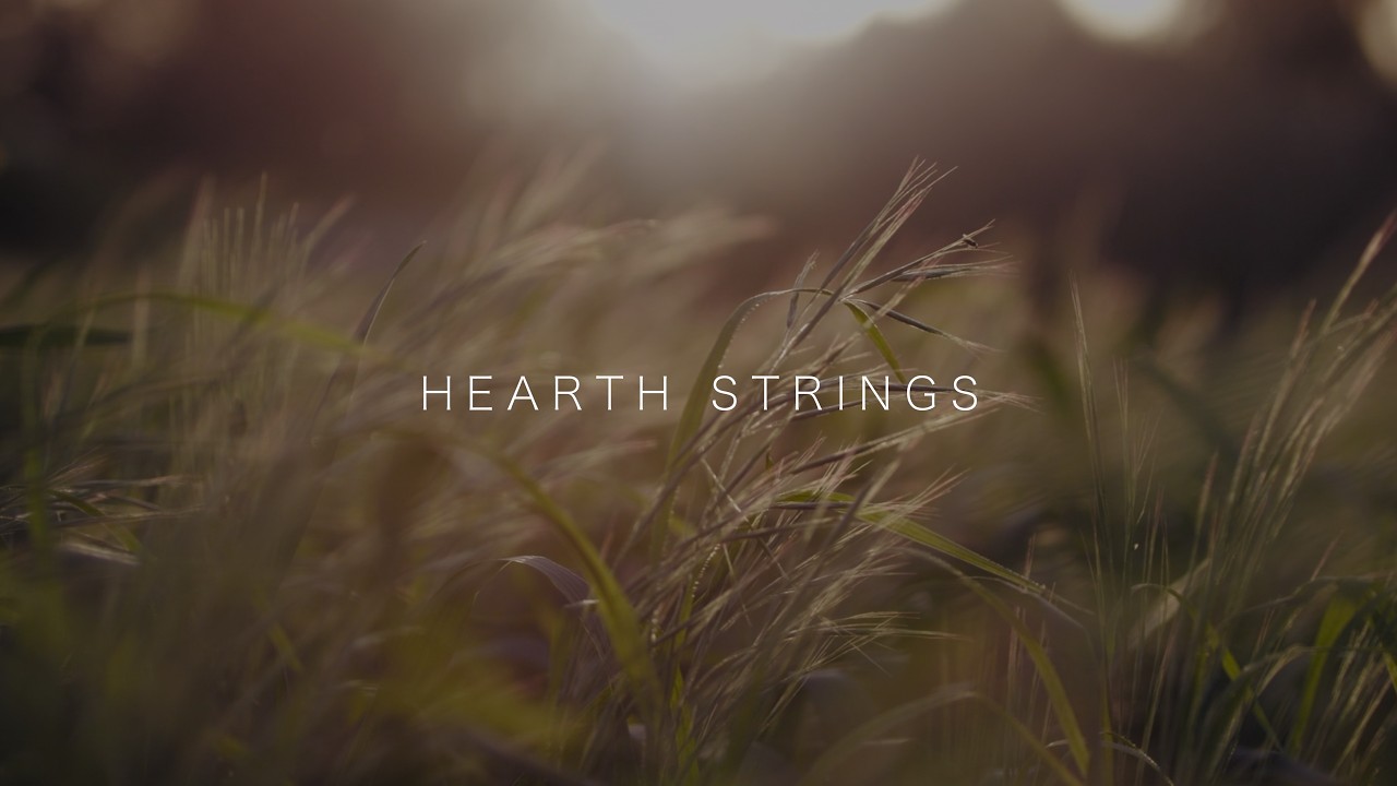 Hearth Strings - Acoustic Guitar for Soundbox
