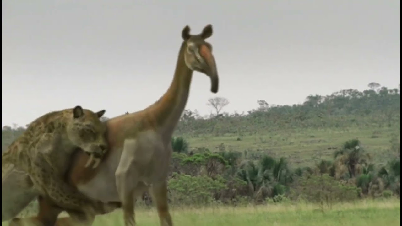 bbc walking with beasts episode 5 - macrauchenia hunting(remake)