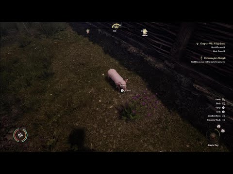 Raising pigs in Medieval Dynasty