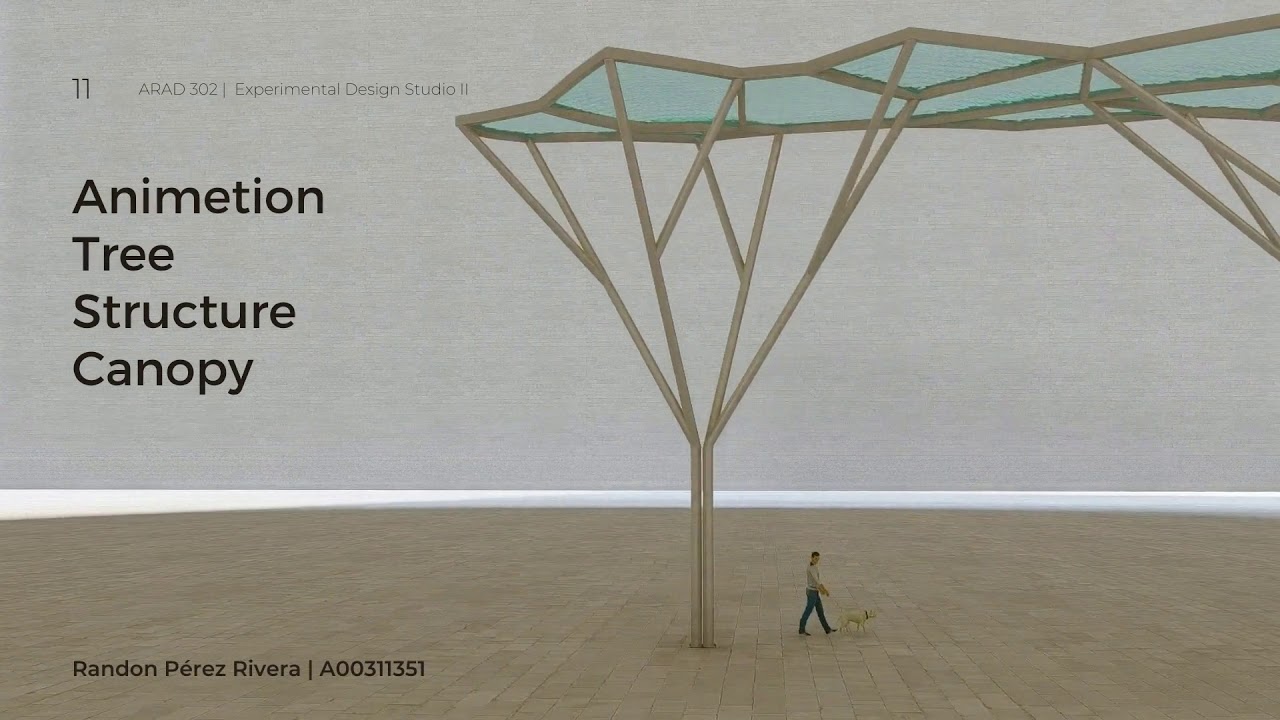 ARAD 302 |  Precedents of Studies and Research in 3D | Tree Structure Canopy