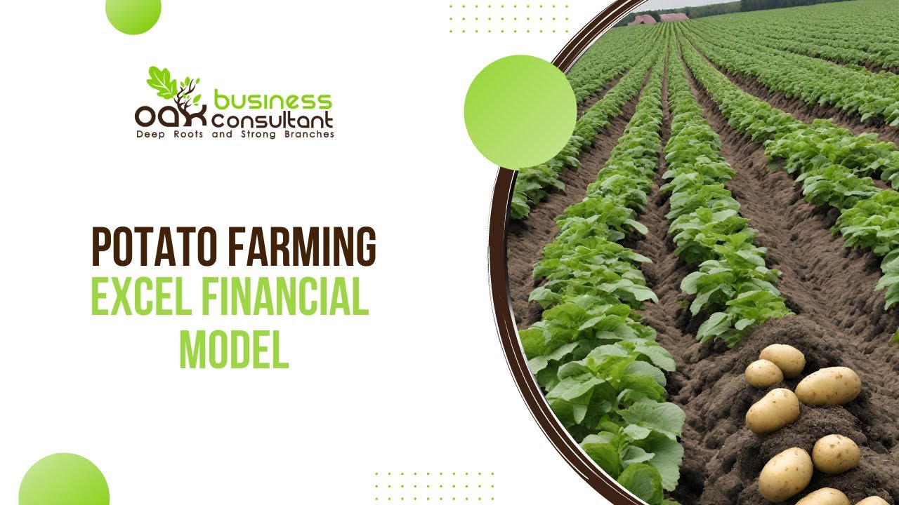 Potato Farming Excel Financial Model