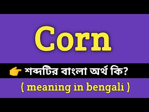 Corn Meaning in Bengali || Corn শব্দের বাংলা অর্থ কি? || Bengali Meaning Of Corn