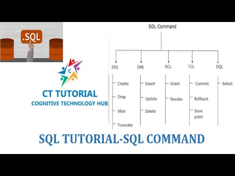 All Types of SQL Commands with Example | SQL commands tutorial for beginners | DQL DDL DML DCL| DBMS