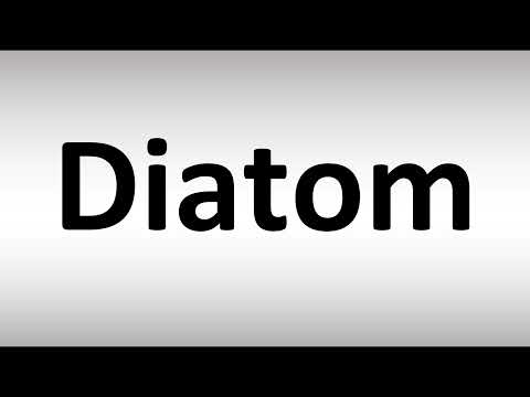 How to Pronounce Diatom