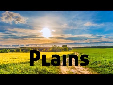 Let’s learn :- What are Plains ?
