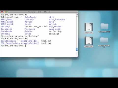 Unix for Neuroimagers 2: CD and LS