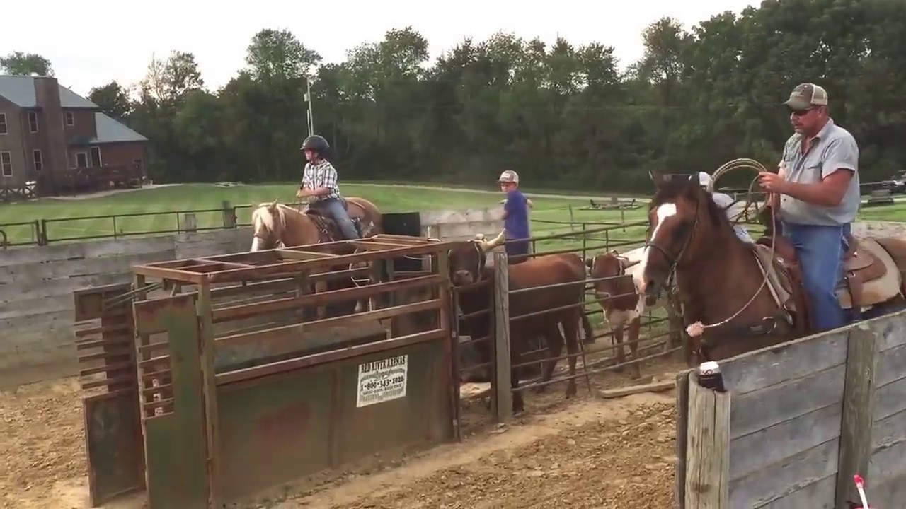Dolly Junior Rodeo Pony