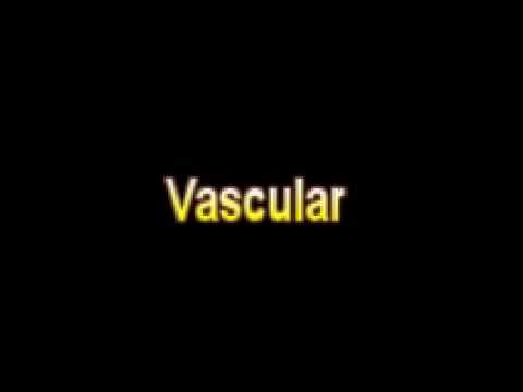 What Is The Definition Of Vascular