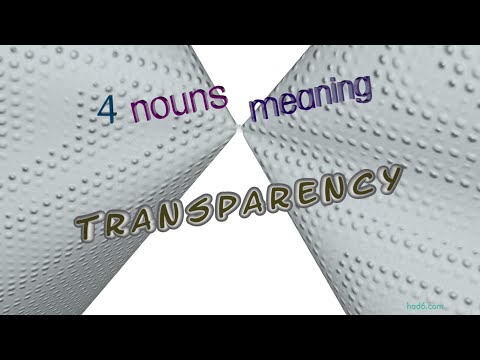 transparency - 4 nouns synonym to transparency (sentence examples)