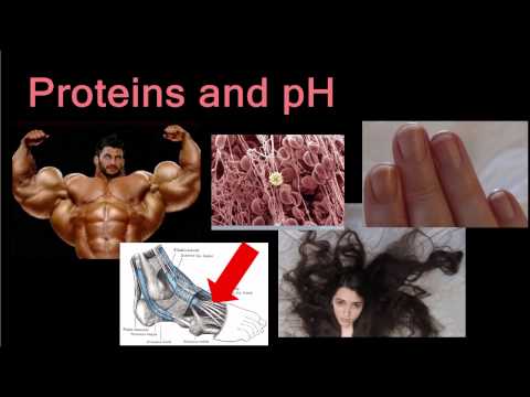 Protein: An Example of the Importance of pH to the Living World