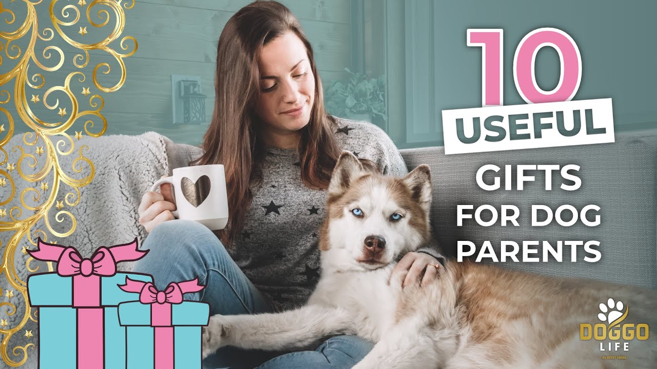 The BEST Gift Ideas For Dog Lovers | DOGGO LIFE