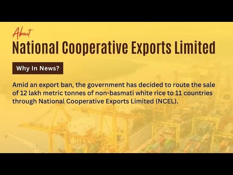 all about National cooperative exports limited | National cooperative exports limited kya hai