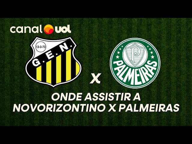 Transmissão ao vivo de Novorizontino x Palmeiras pelo Paulista: veja ...