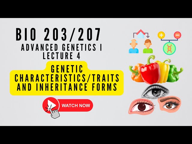 Understanding Genetic Characteristics and Inheritance Forms in Advanced Genetics | Galaxy.ai