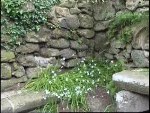 Legends of Cornwall