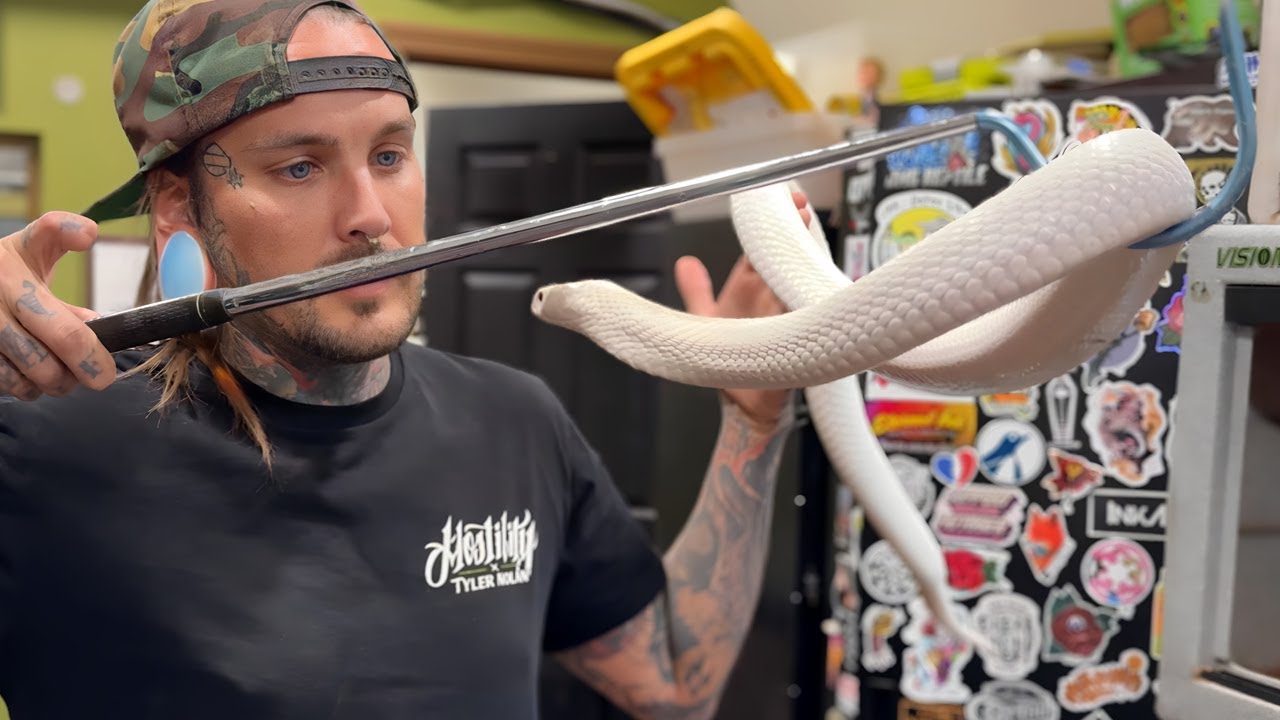 Disaster in the VENOMOUS SNAKE BUILDING 😱