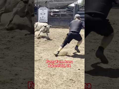 💨🎯💥These fighting bulls are so fast!!! #bullfighting #pbr #rodeo #video