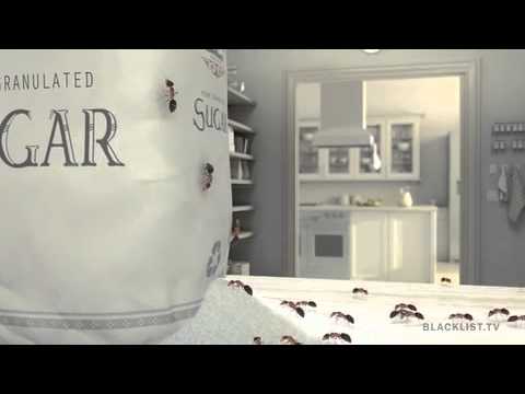 Terminix: Pantry