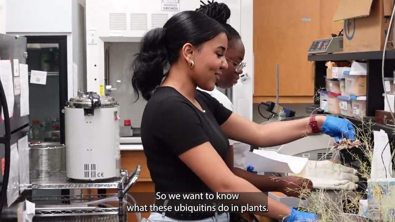 The Summer Research Opportunity Program (SROP)
