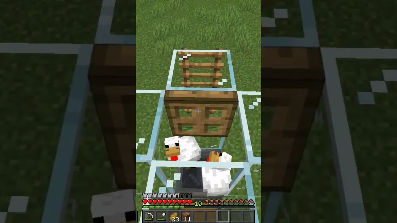 How To: Build A Chicken/Egg Farm In Minecraft