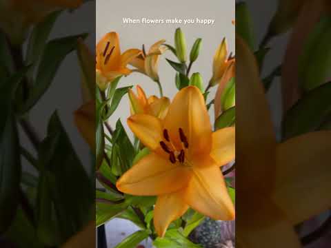 Orange Lilies #flowers #happiness #littlethingsmatter #lilly #bloom