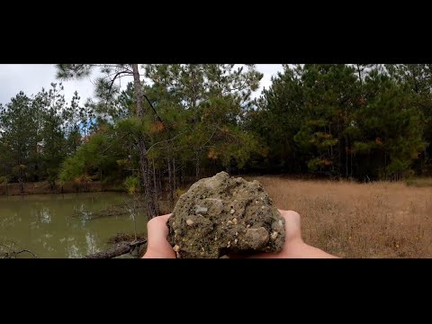 Steam Community :: Video :: Rust Max Graphics 2022