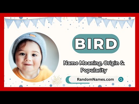 Bird - Baby Boy Name Meaning, Origin & Popularity - RandomNames.com