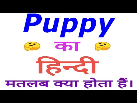 Puppy meaning in hindi | Puppy ka matlab kya hota hai | Puppy in hindi