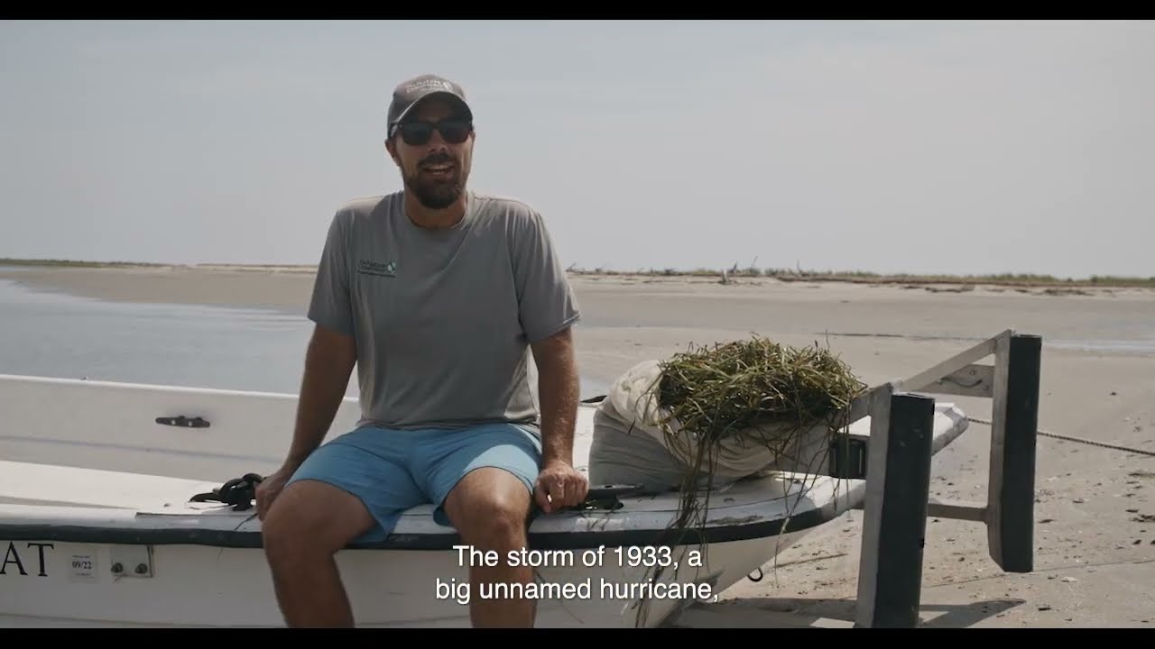 Eelgrass History and Impact: Virginia