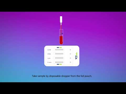 VETlabs Canine Blood Pathogen